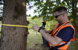 BS5837 Tree Survey: A Simple Guide - Arbtech