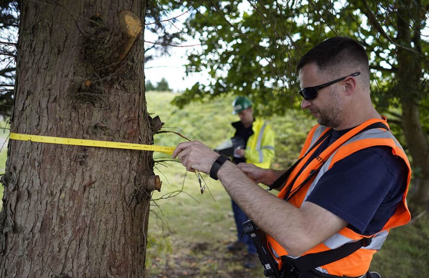 BS5837 Tree Survey A Simple Guide Arbtech