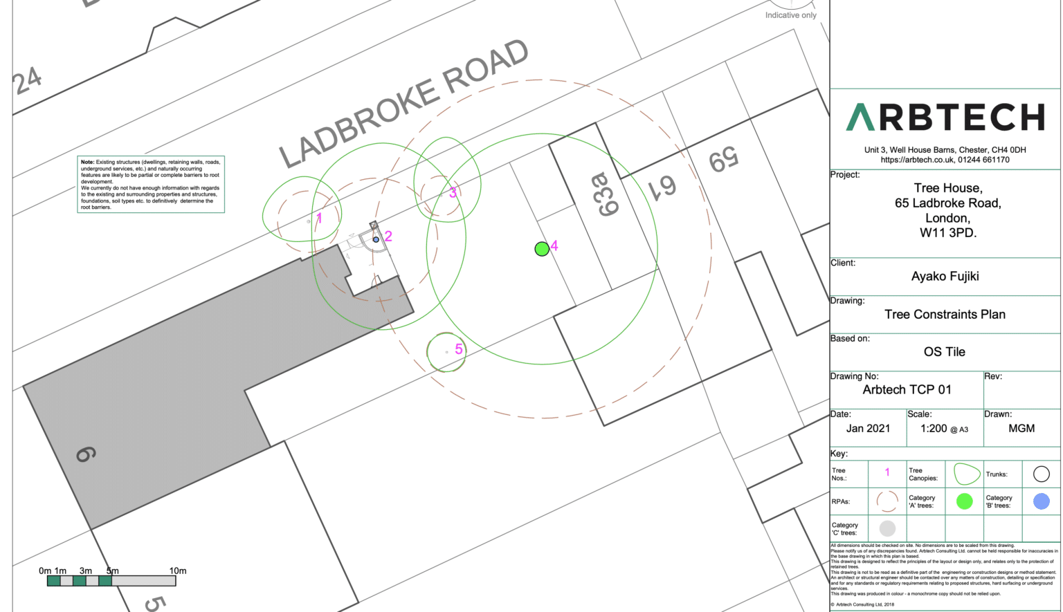 Tree Surveys in London: Recommended Tree Experts - Arbtech