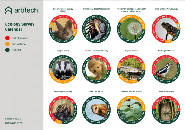 Ecology Survey Calendar: Protected Species Surveys Timeframe - Arbtech